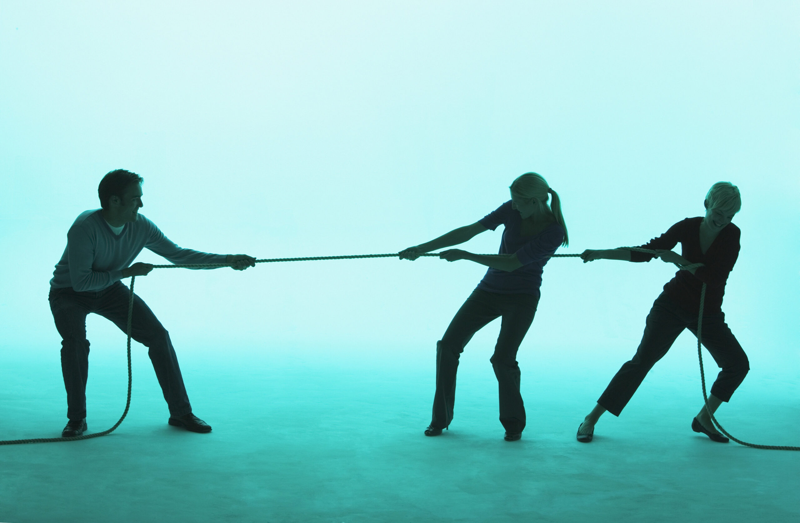 The Tug of War Between Individual Rationality and Collective Insanity ...