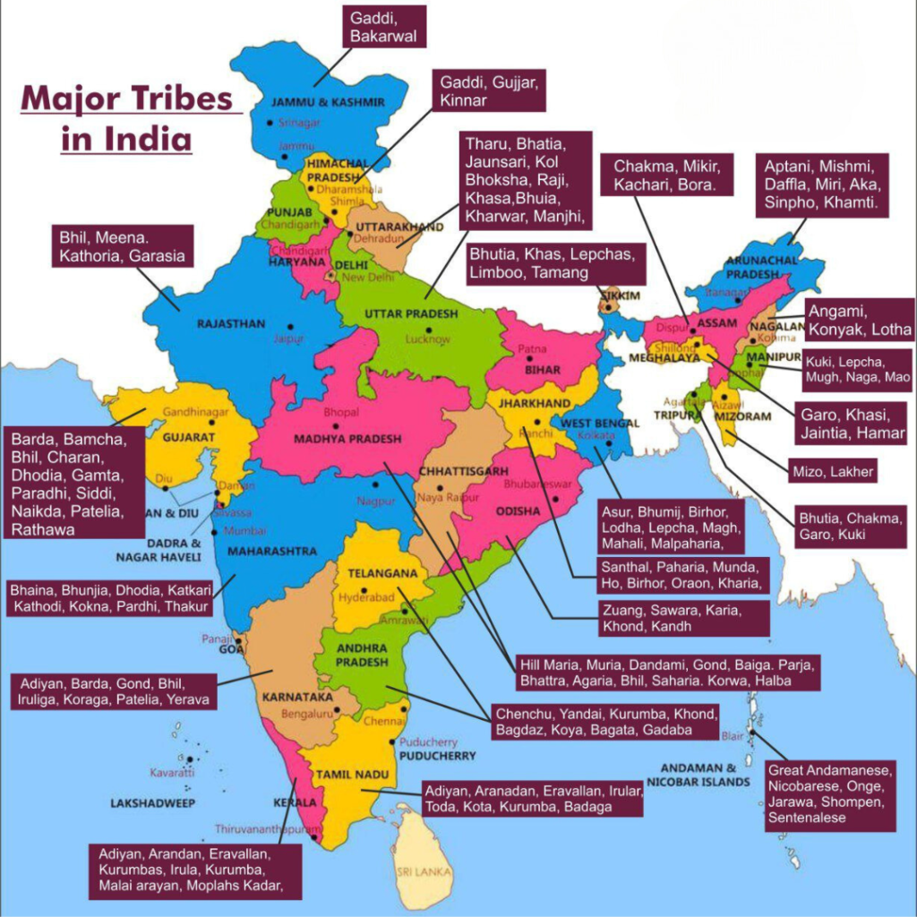 The Resurgence of the Bhil Pradesh Demand: A Call for Tribal Identity ...